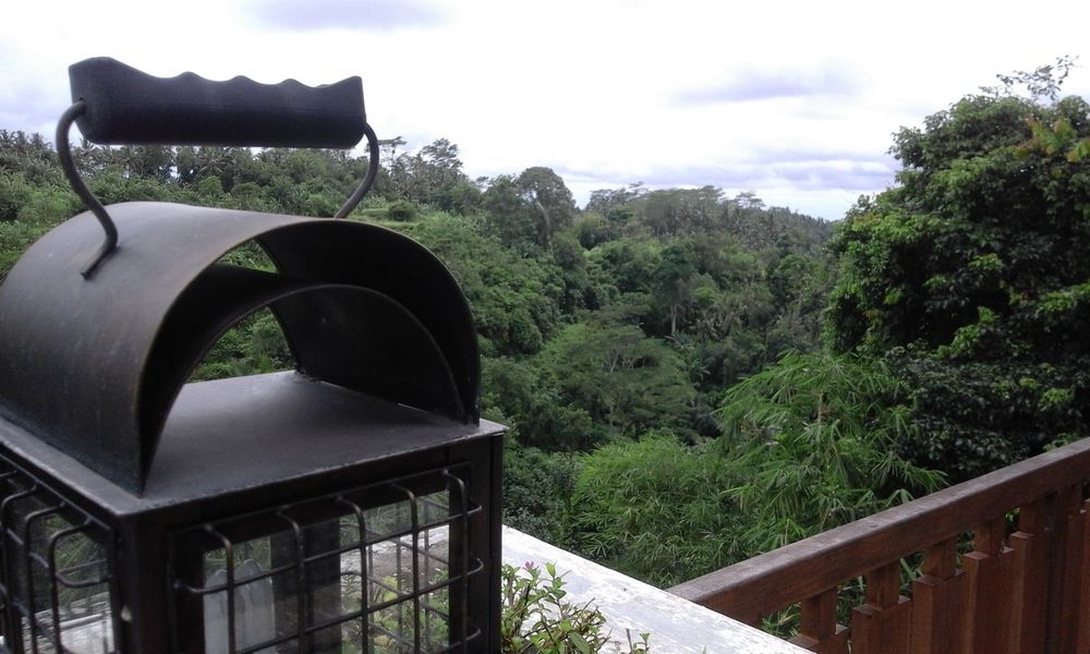 Ashoka Tree Resort at Tanggayuda, Ubud in Ubud | 2024 Updated prices ...